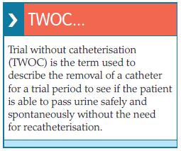 Urology & Continence Care Today - Article: Best practice for trial ...